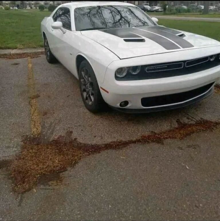 2018 dodge v6 gt challenger – Striker Cars For Sale