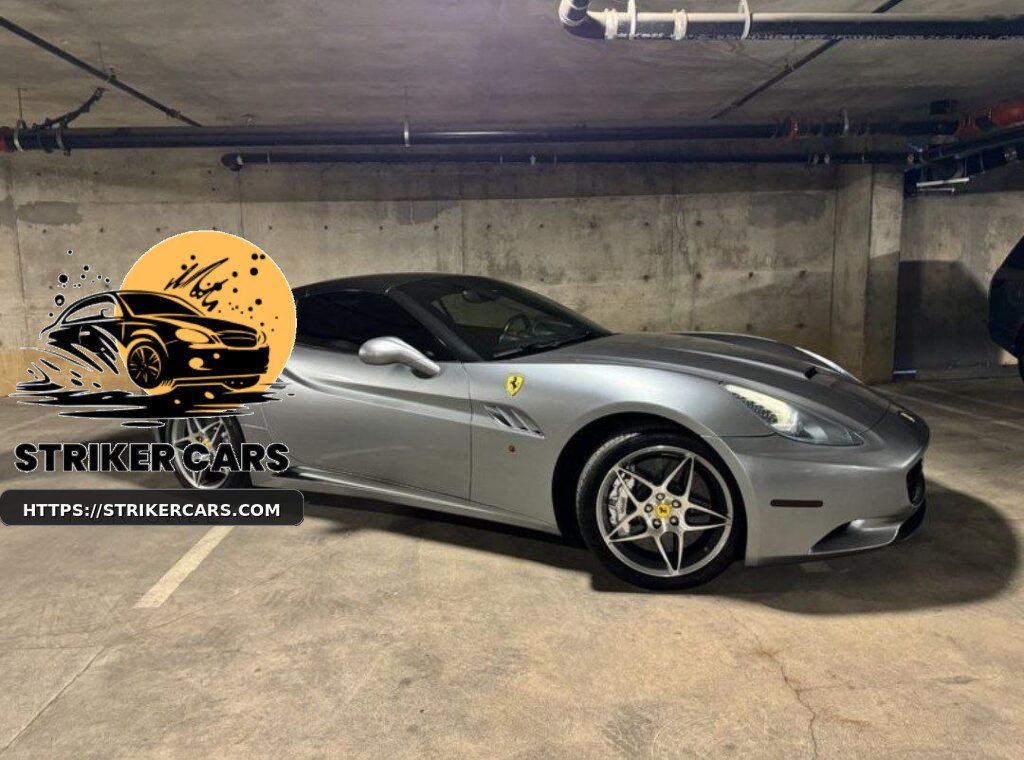2010 Ferrari /Striker Car - Striker Cars For Sale